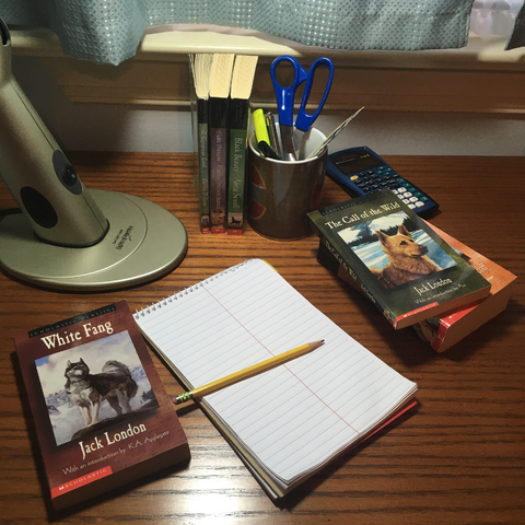 Best Ways to Improve Reading Retention Effectively | ReadTheory